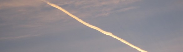 Gallery 2 | GRAHAM CATT